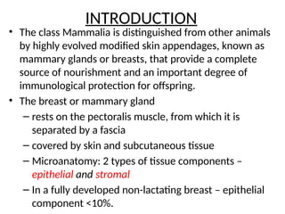 NORMAL STRUCTURE OF BREAST AND BENIGN LESIONS OF (2).pptx