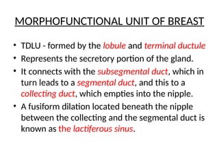 NORMAL STRUCTURE OF BREAST AND BENIGN LESIONS OF (2).pptx