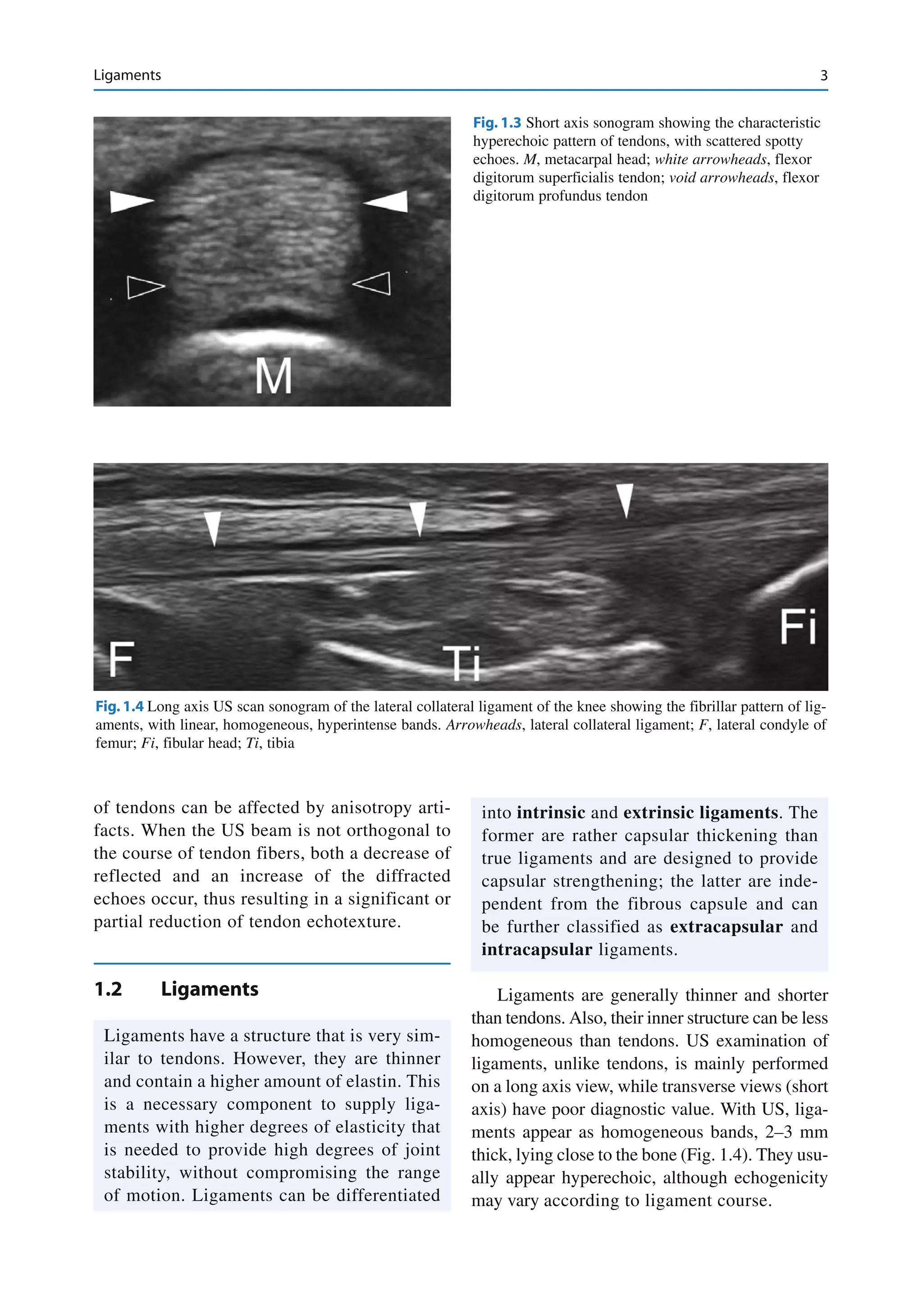 Normal ultrasound anatomy of the musculoskeletal system 2012 | PDF