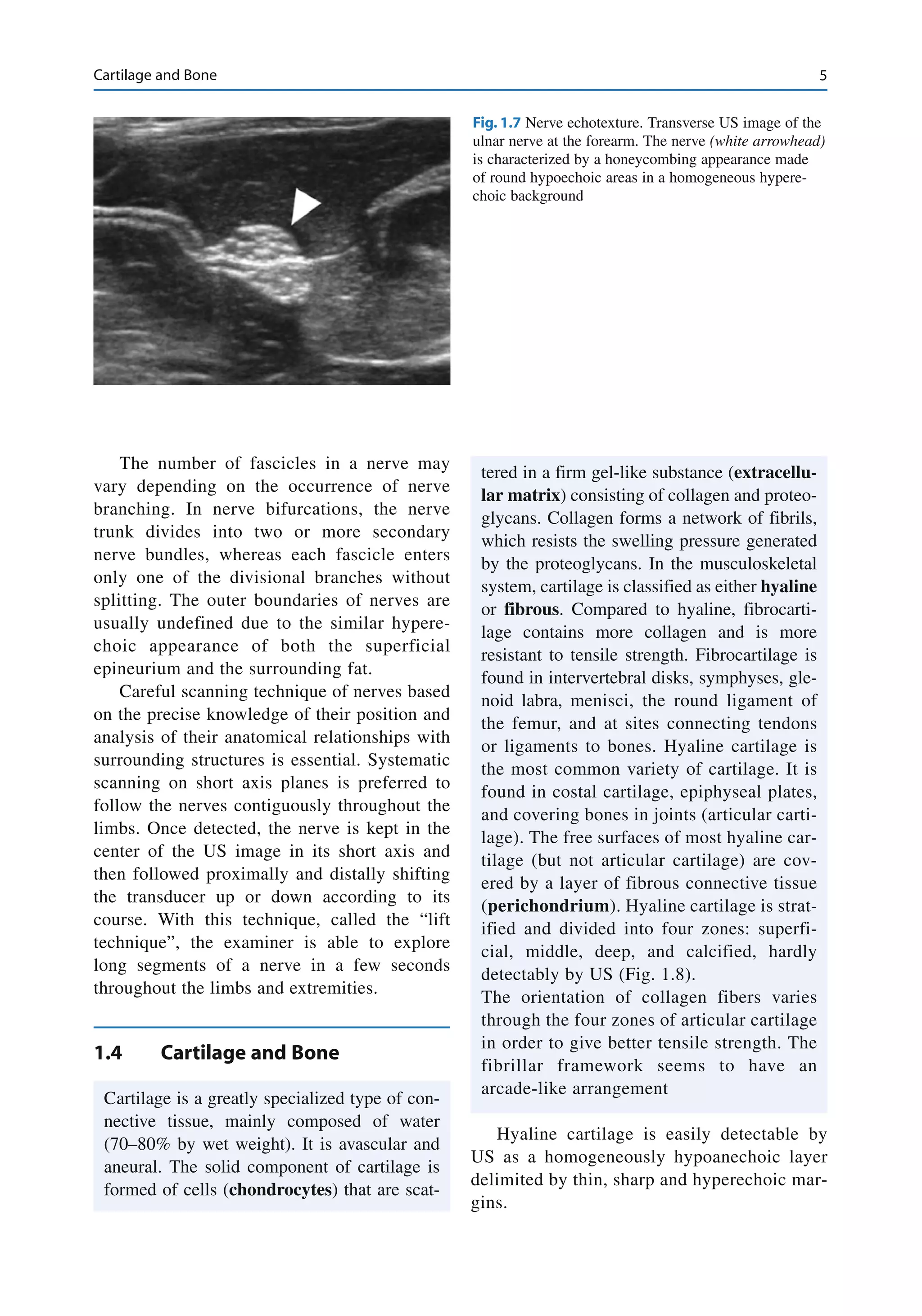Normal ultrasound anatomy of the musculoskeletal system 2012 | PDF