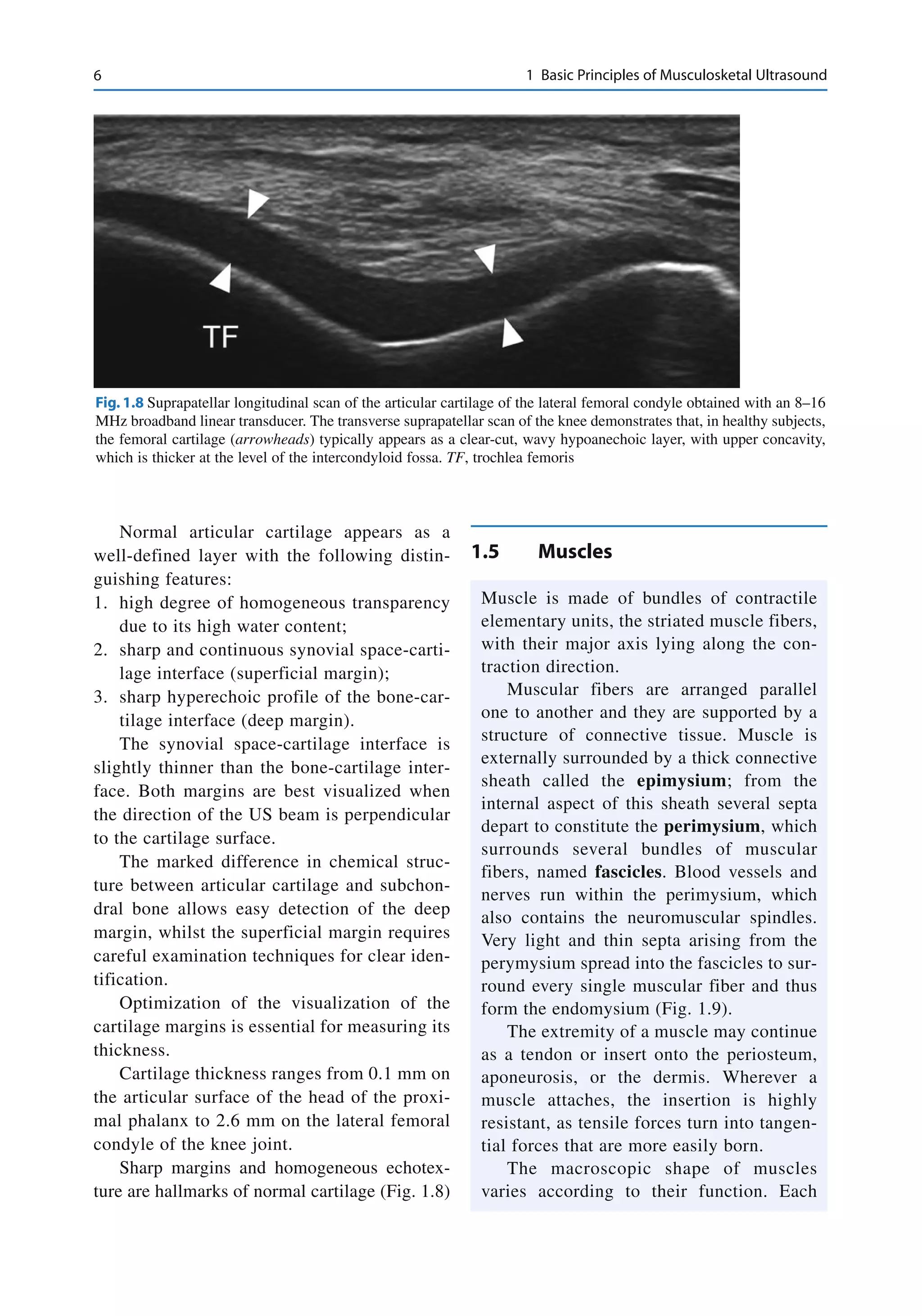 Normal ultrasound anatomy of the musculoskeletal system 2012 | PDF