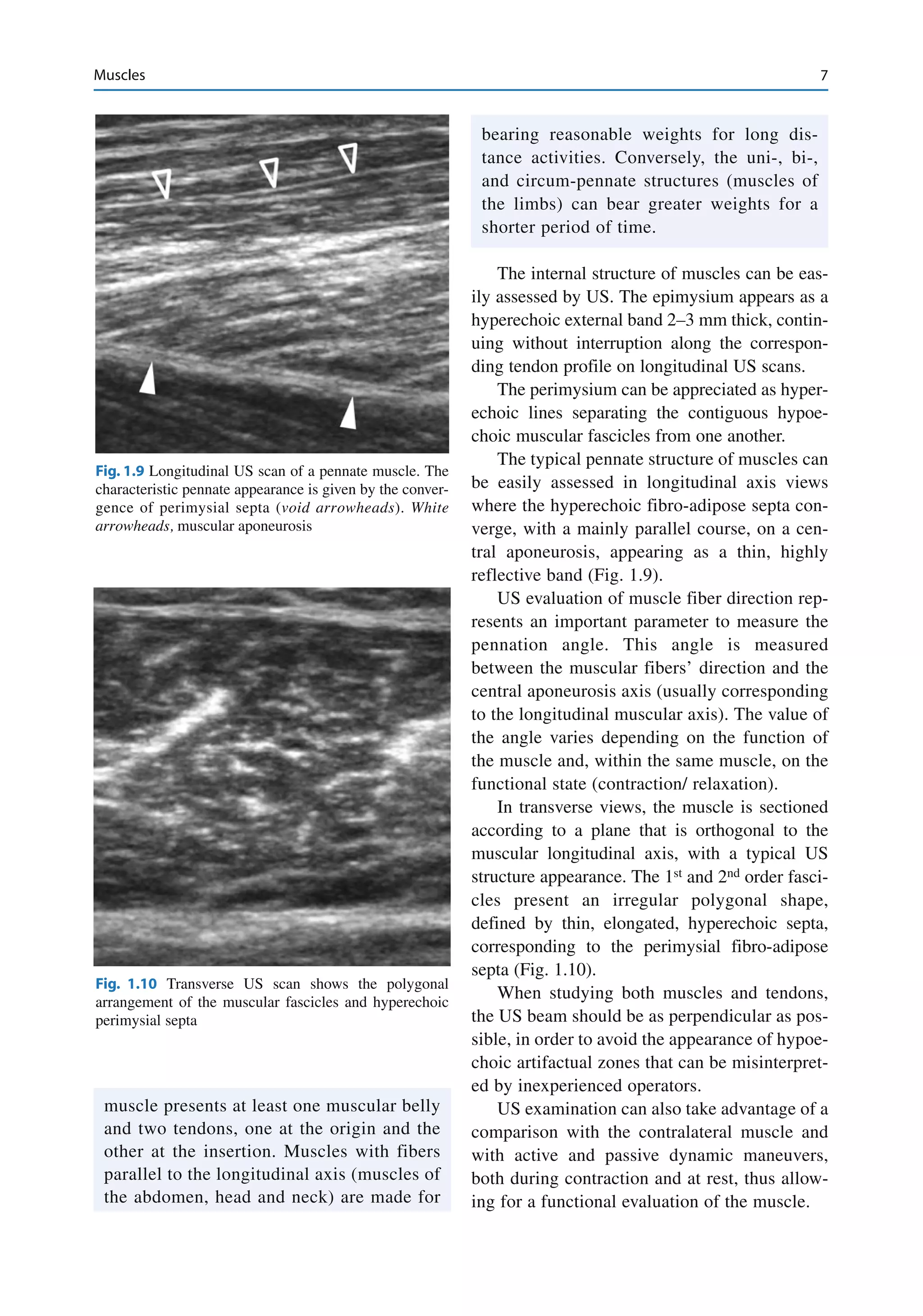 Normal ultrasound anatomy of the musculoskeletal system 2012 | PDF