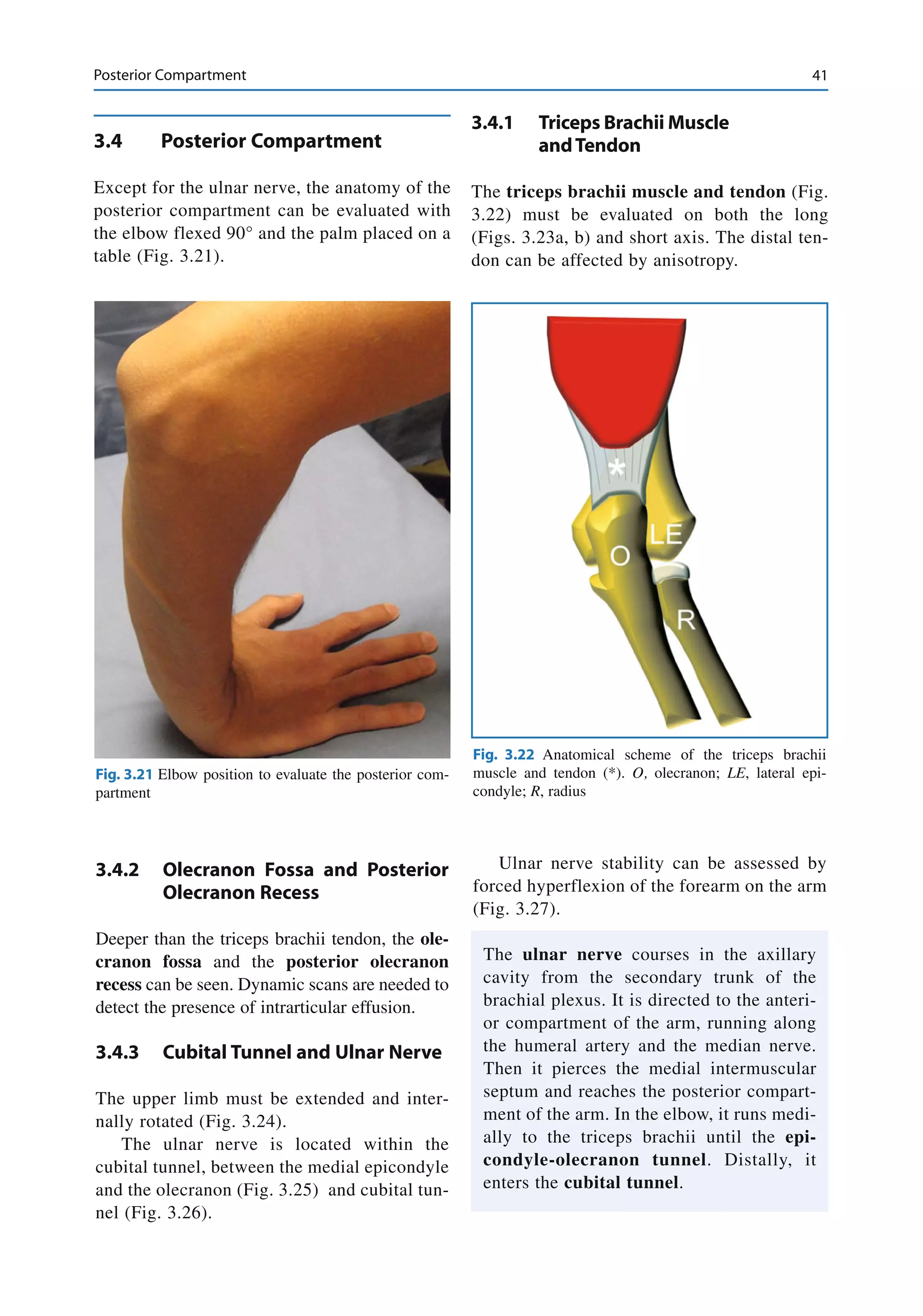 Normal ultrasound anatomy of the musculoskeletal system 2012 | PDF