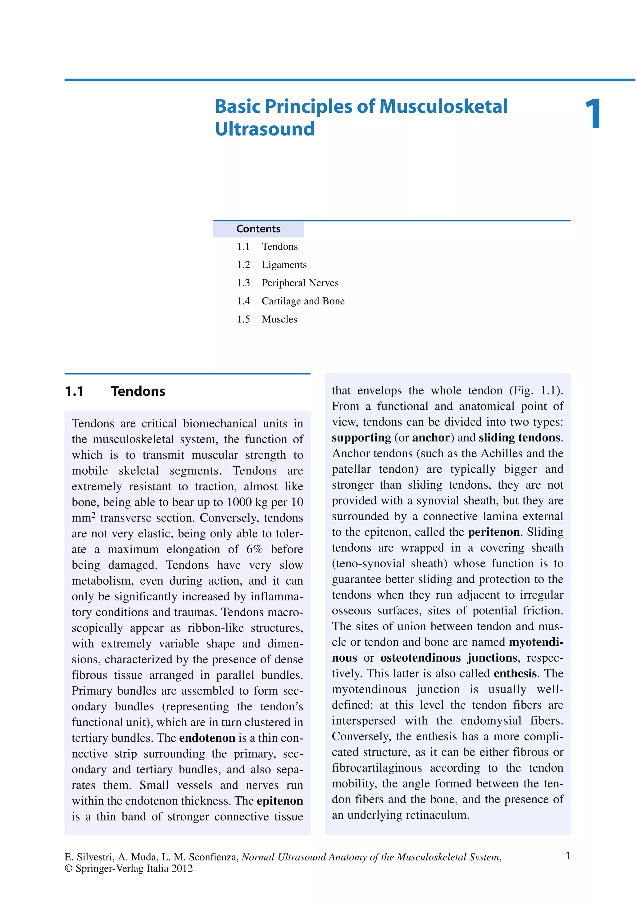 Normal ultrasound anatomy of the musculoskeletal system 2012 | PDF