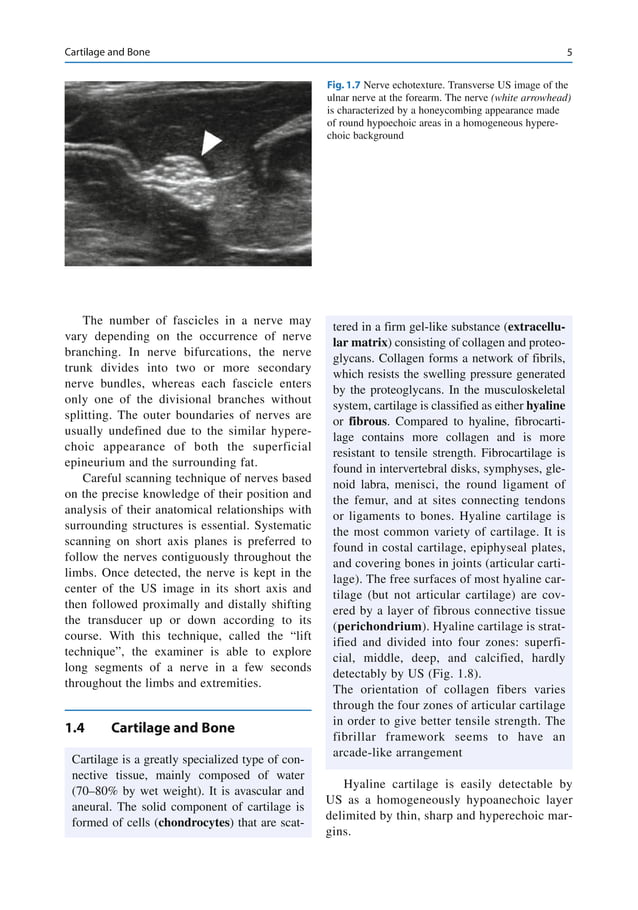 Normal ultrasound anatomy of the musculoskeletal system 2012 | PDF