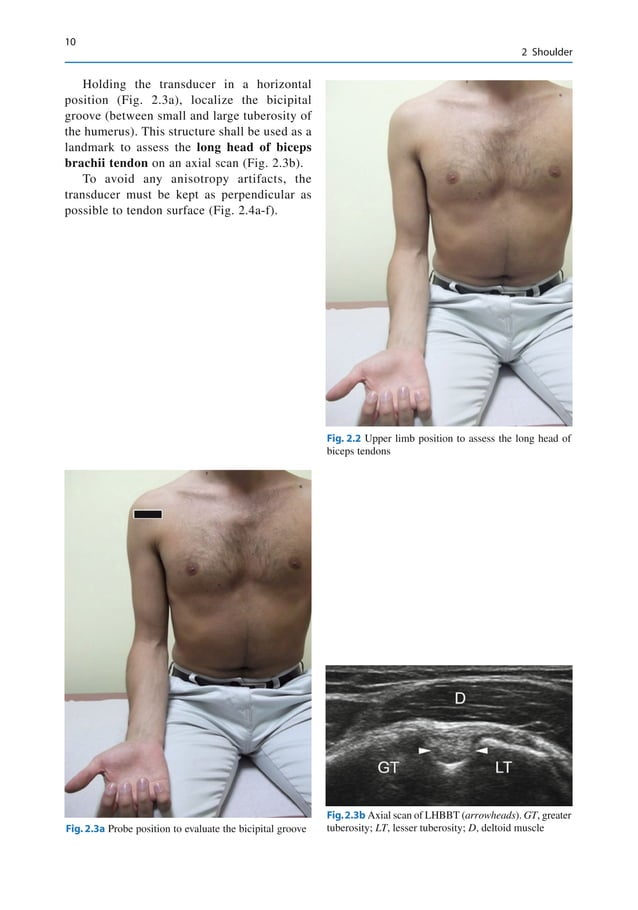 Normal ultrasound anatomy of the musculoskeletal system 2012 | PDF