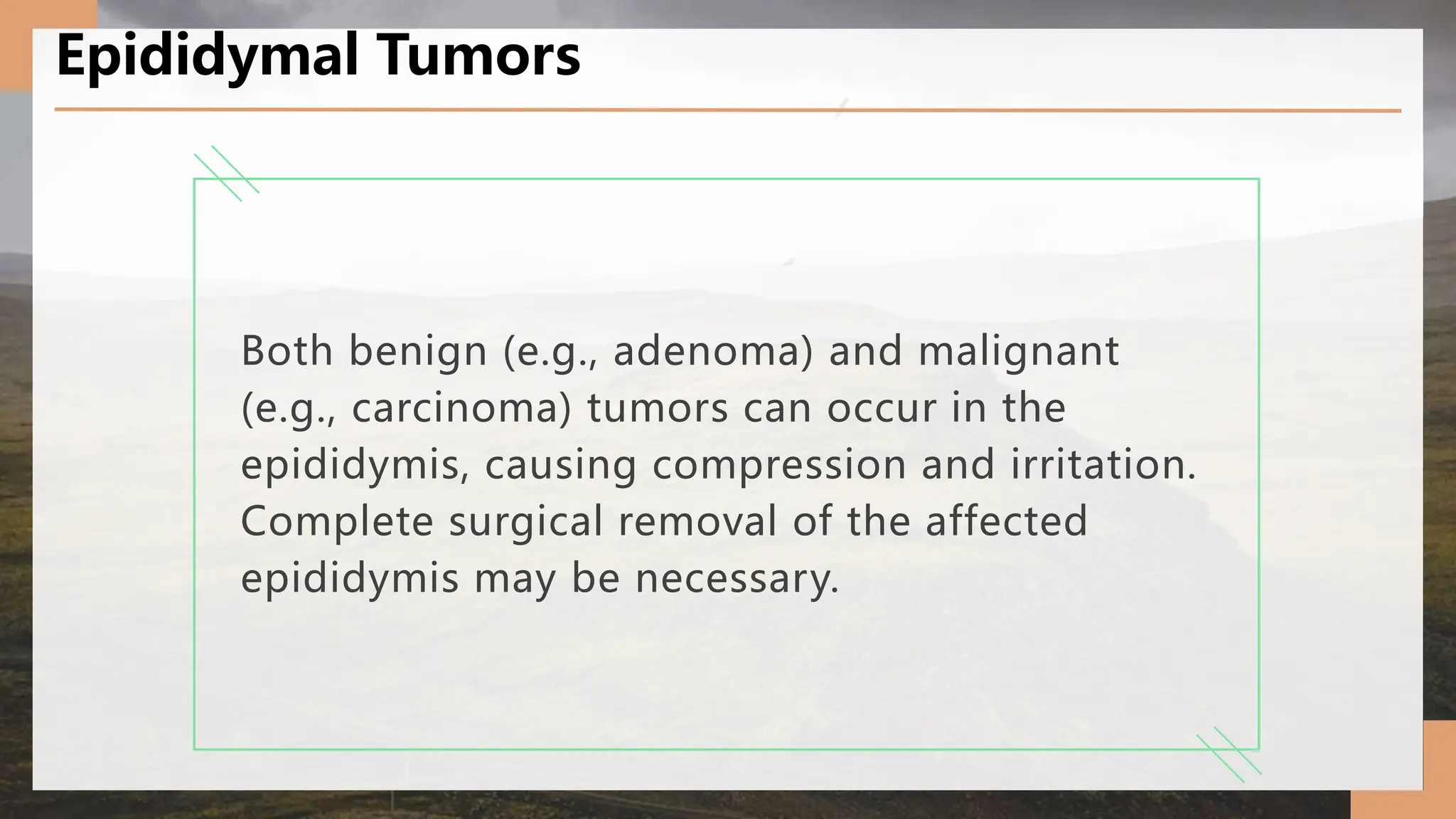 Normal Ultrasound in Epididymitis- Unraveling the Hidden Causes.pptx