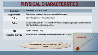 Test for Normal urine (Practical ) | PPTX