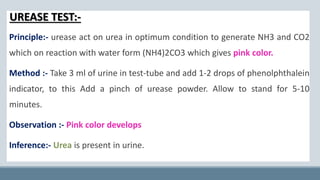 Test for Normal urine (Practical ) | PPTX | Chemistry | Science