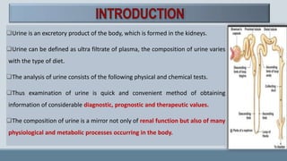 Test for Normal urine (Practical ) | PPTX | Chemistry | Science