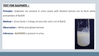 Test for Normal urine (Practical ) | PPTX | Chemistry | Science