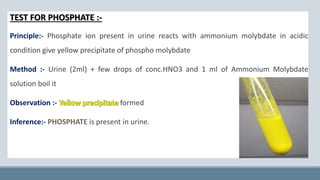 Test for Normal urine (Practical ) | PPTX | Chemistry | Science