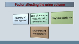 Test for Normal urine (Practical ) | PPTX | Chemistry | Science