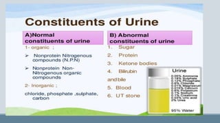Test for Normal urine (Practical ) | PPTX | Chemistry | Science