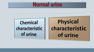 Test for Normal urine (Practical ) | PPTX | Chemistry | Science