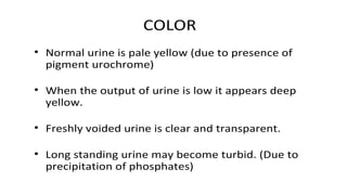 normal urine.pptx