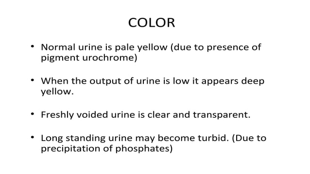 normal urine.pptx