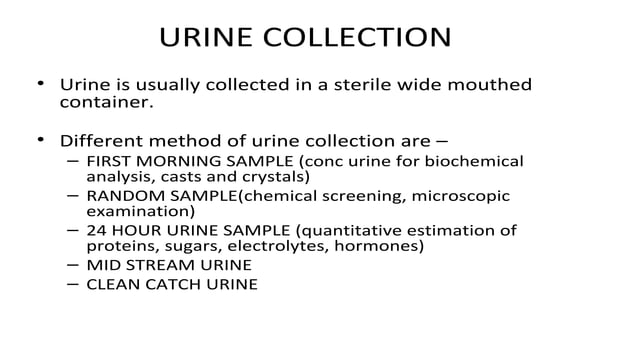 normal urine.pptx