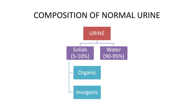 normal urine.pptx