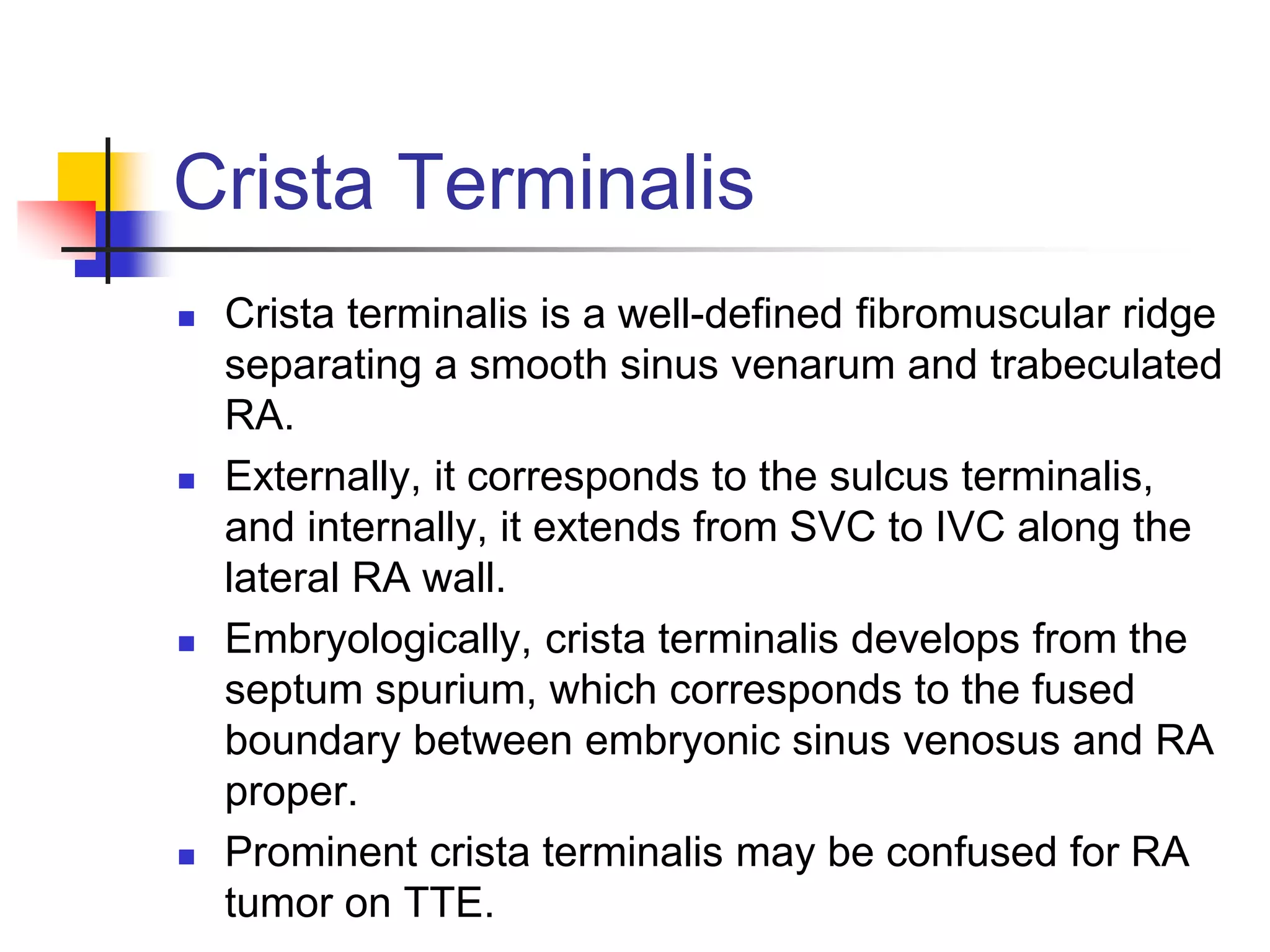 Normal variants of heart structures | PPTX