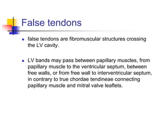 Normal variants of heart structures | PPTX