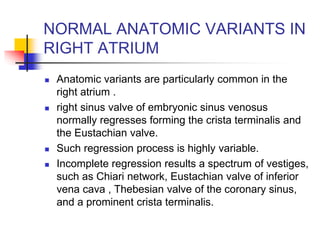 Normal variants of heart structures | PPTX
