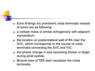 Crista Terminalis Echo