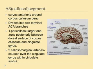 Normal blood supply of brain | PPTX