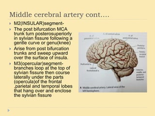 Normal blood supply of brain | PPTX