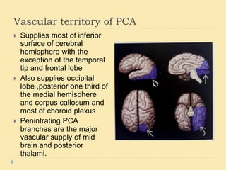 Normal blood supply of brain | PPTX