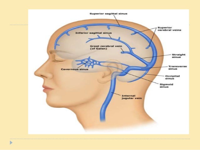 Normal blood supply of brain