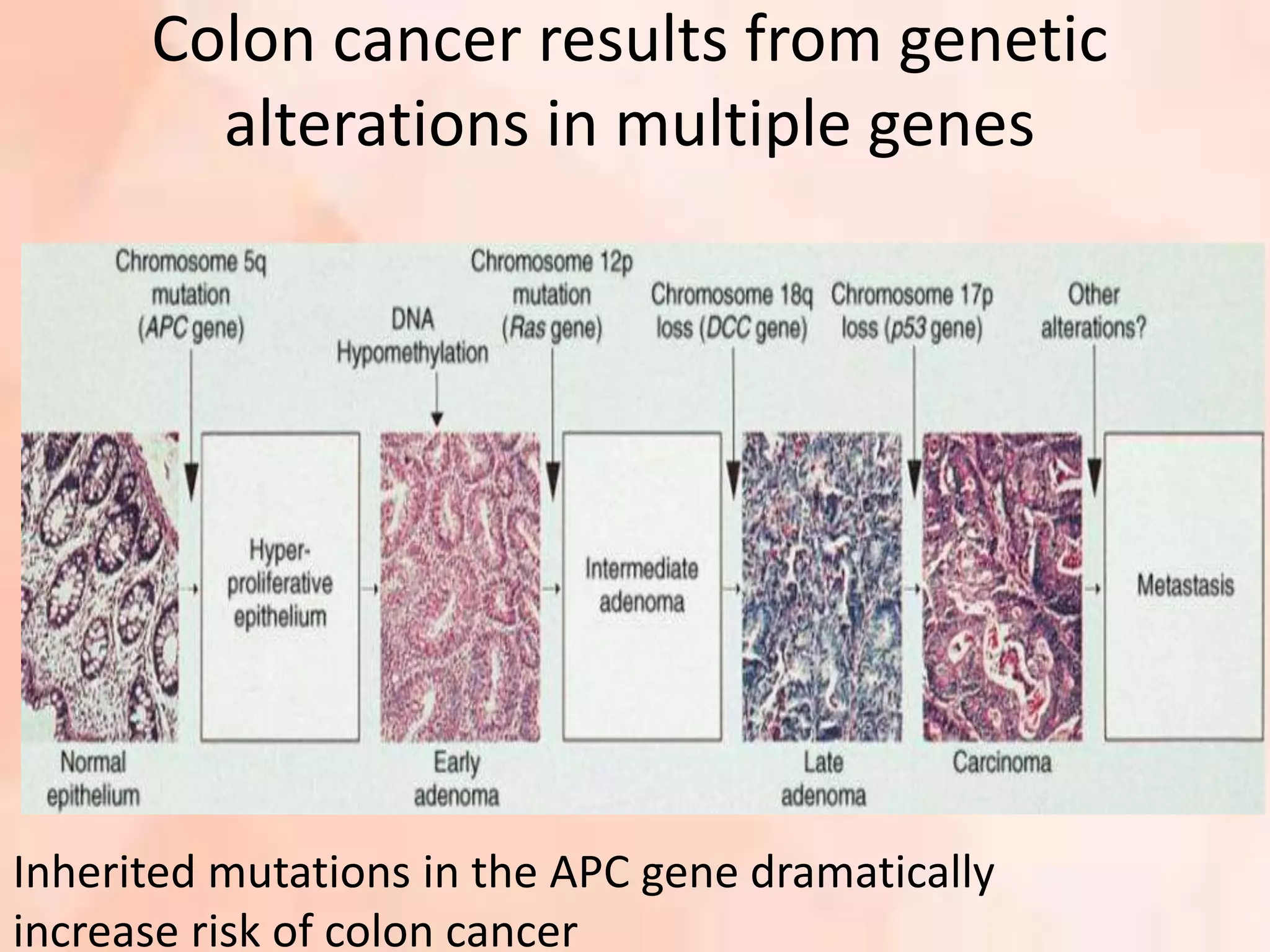Normal vs cancer -Pooja Murkar | PPT