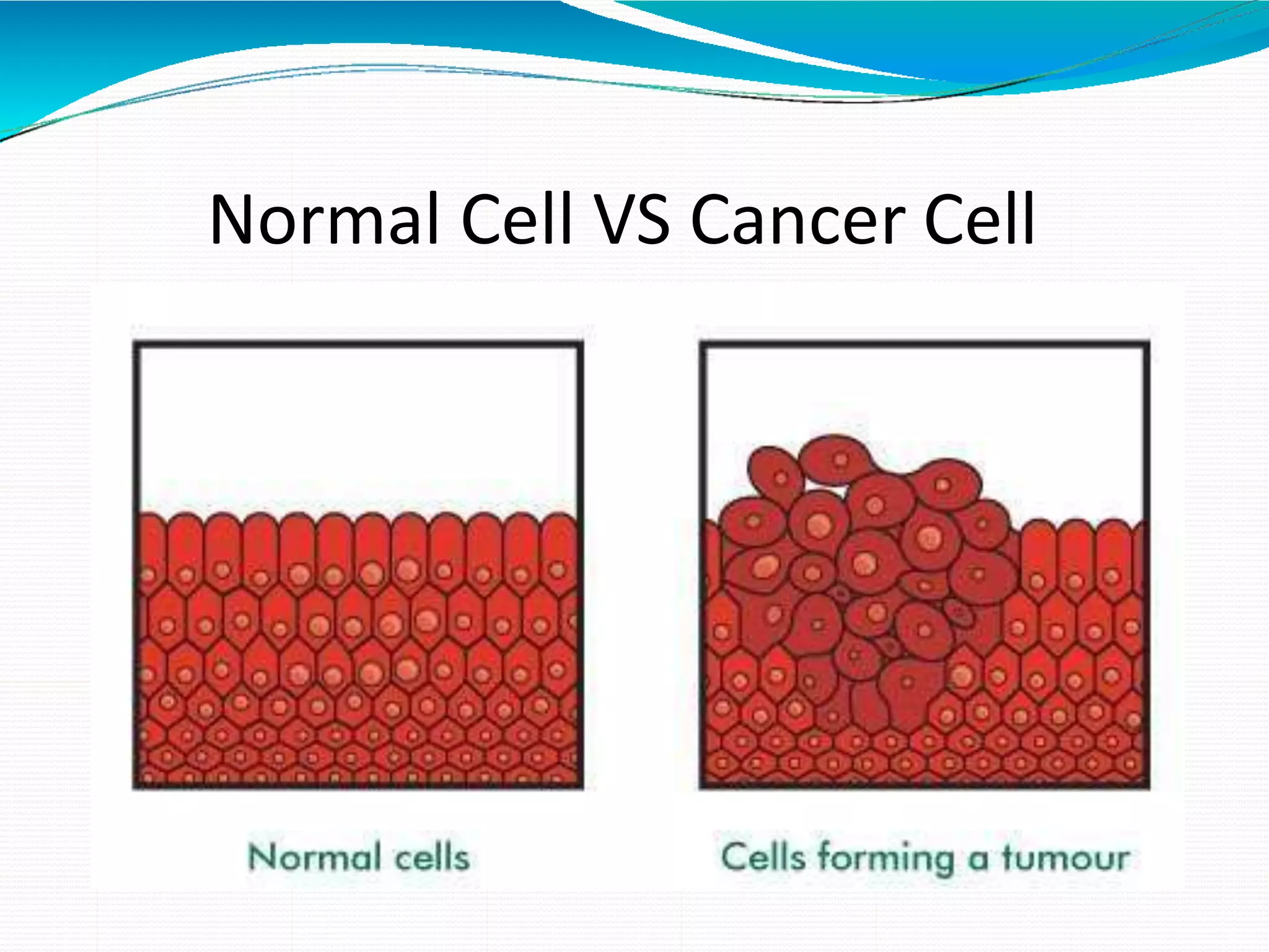 Normal vs cancer -Pooja Murkar | PPT
