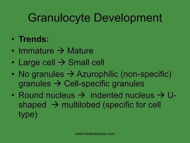 Normal wbc | PPT | Blood Disorders | Diseases and Conditions