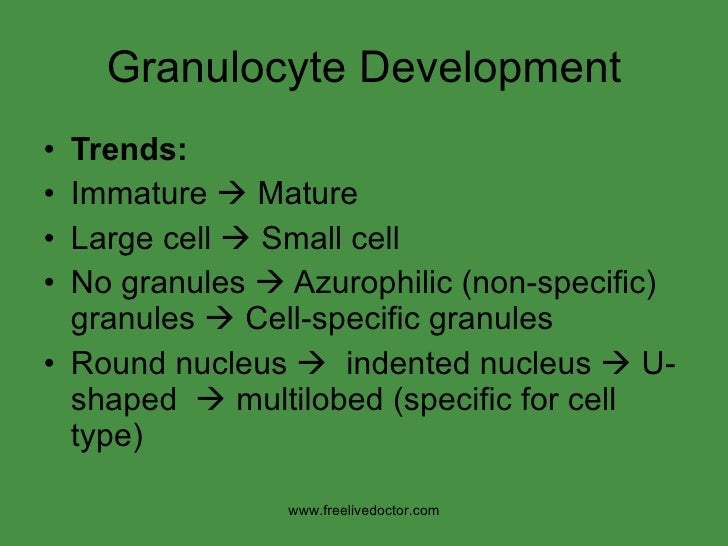 Immature Granulocytes Causes Absolute And Normal Range