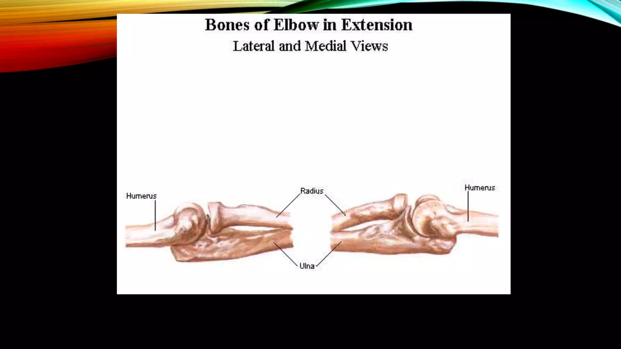 Normal X ray of long bones.pptx