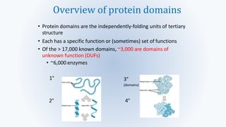 Domains of unknown function are essential in yeast | PPT
