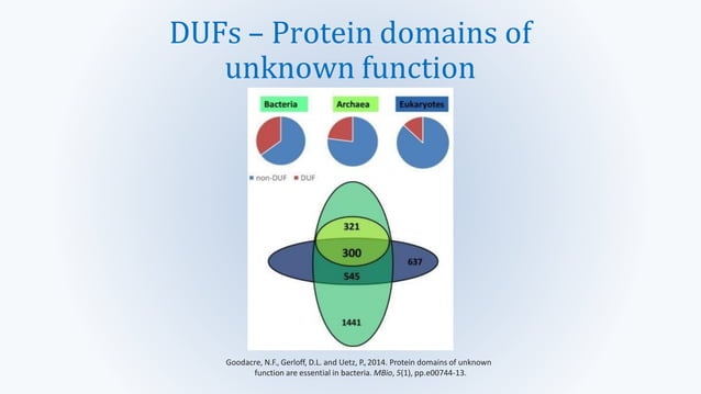 Domains of unknown function are essential in yeast | PPT