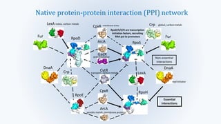 Domains of unknown function are essential in yeast | PPT