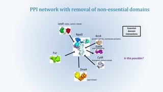 Domains of unknown function are essential in yeast | PPT