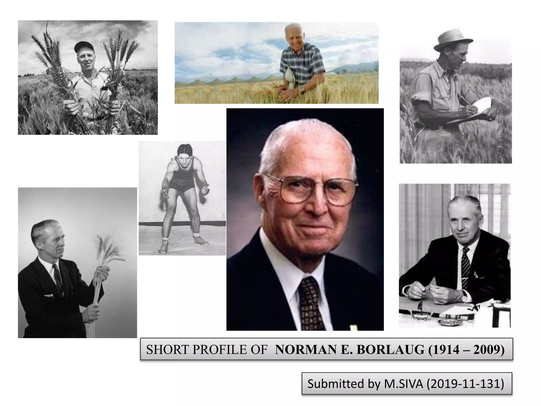 Norman N. borlaug - short Profile | PPTX