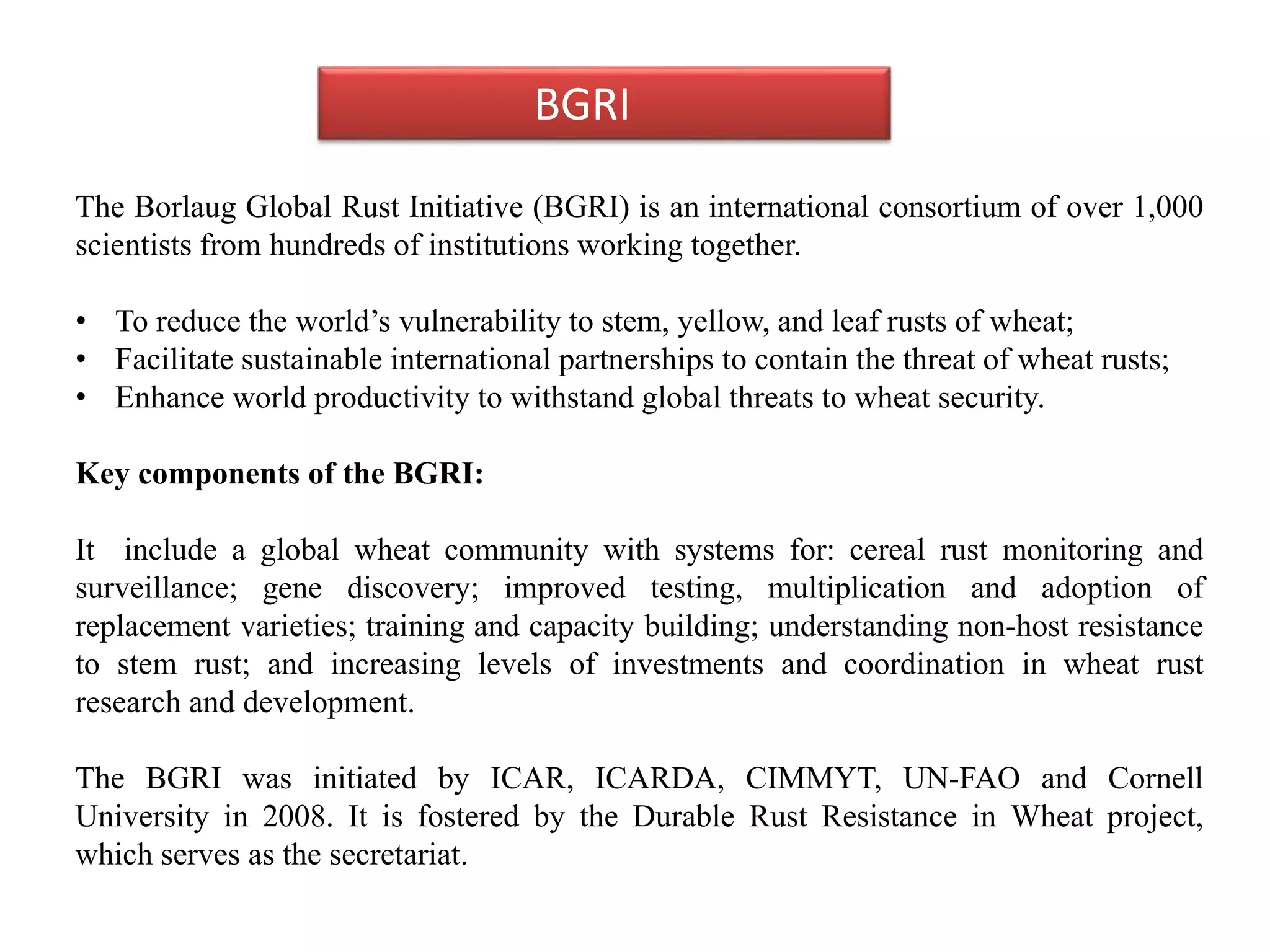 Norman N. borlaug - short Profile | PPTX