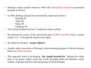 Norman N. borlaug - short Profile | PPTX