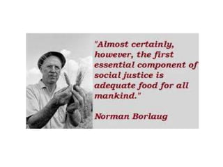 Norman N. borlaug - short Profile | PPTX