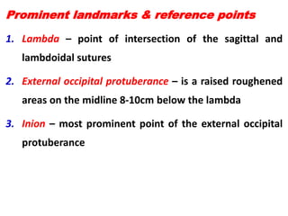 Norma occipitalis in head and neck- osteology | PDF