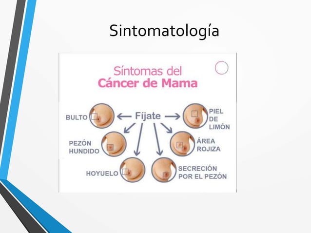 Norma Oficial Mexicana Nom 041 Ppt