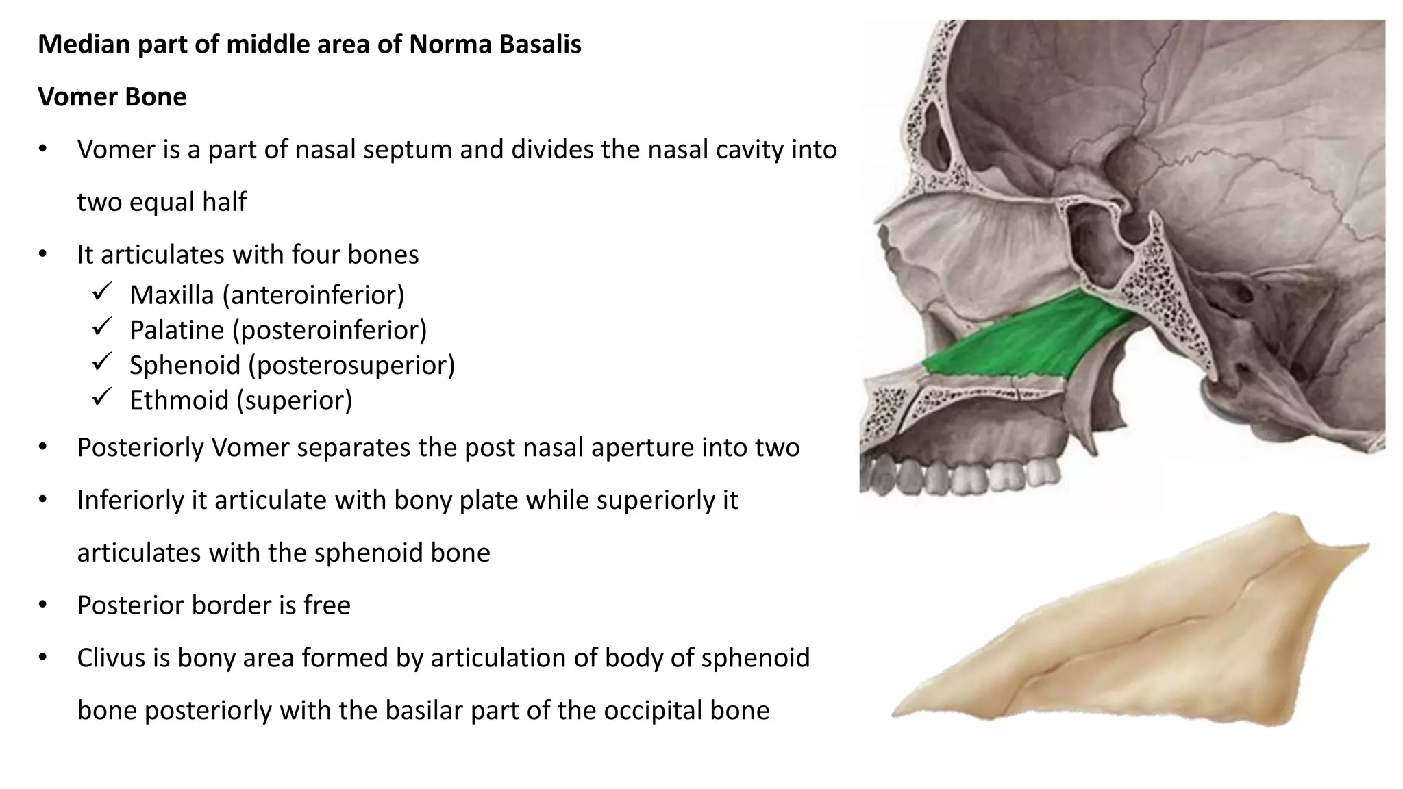 Normas of skull | PPTX
