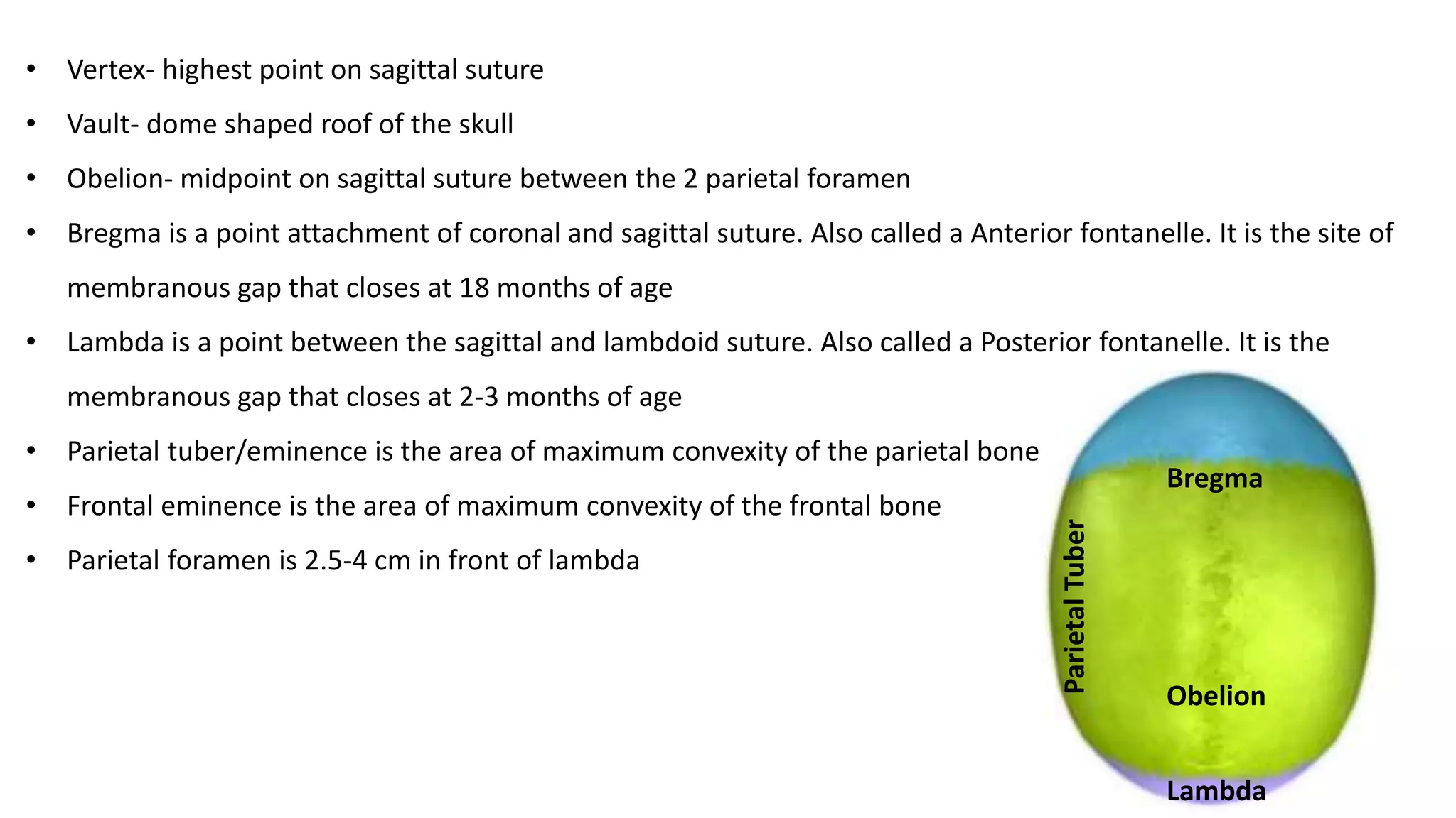 Normas of skull | PPTX