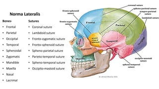 Normas of skull | PPTX