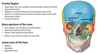 Normas of skull | PPTX